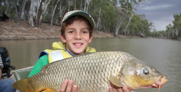 Carp Control Plan approaching finalisation - Fishing World