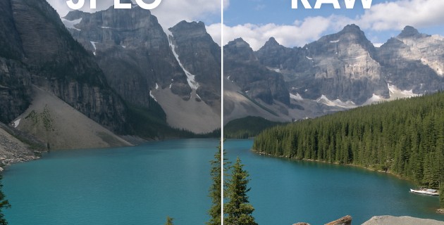 Video: JPEG vs Raw: Which format is best for your workflow ...