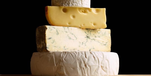 Researchers explore potential of marine rennet substitute for cheese ...