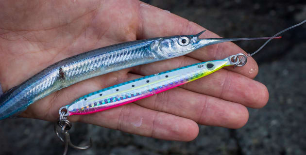 Matching the hatch - Fishing World