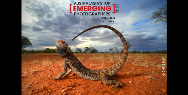 Australasia's Top Emerging Photographers opens for entry - Australian ...