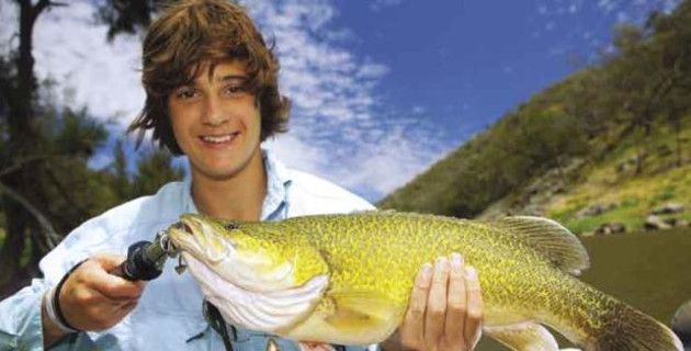 Murray cod season re-opens in NSW - Fishing World