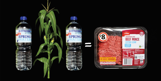 Coles makes fresh sustainability announcements - PKN Packaging News