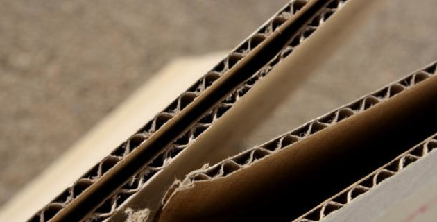 Cartonboard growth limited by short runs: Survey - PKN Packaging News