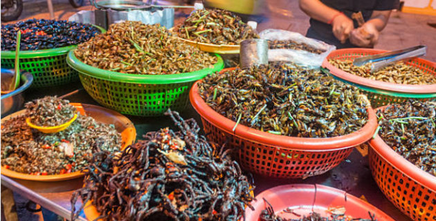 Bug munch with crunch - Food & Drink Business