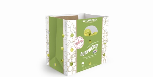 Fibre leads the shift as packaging steps up - PKN Packaging News