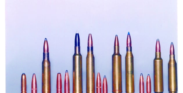 The Ideal Deer Bullet - Sporting Shooter