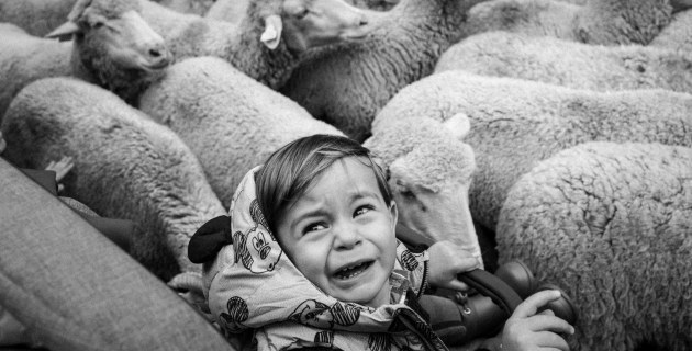 David Niu, 'Sunday in Madrid': Featured entry, Australasia’s Top ...