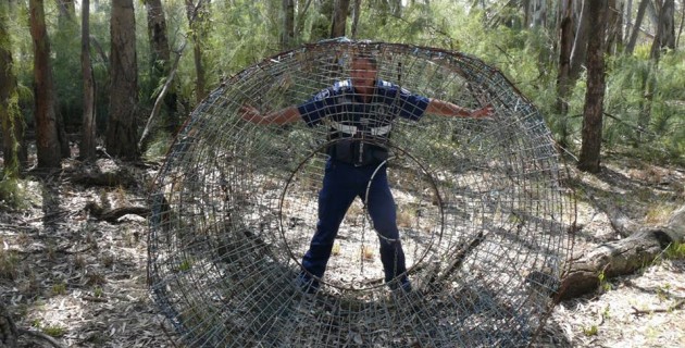Massive drum net found - Fishing World