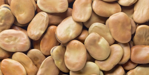 Integra Foods opens plant protein facility - Food & Drink Business