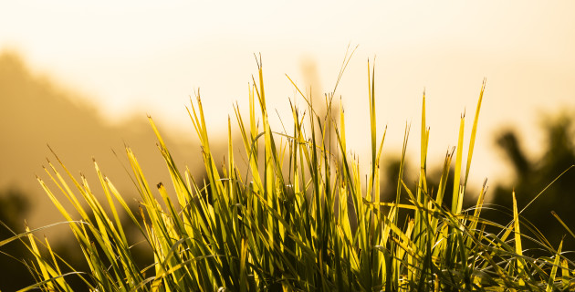 Video: How to photograph the details in landscape photography ...