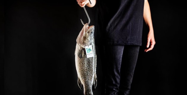 Murray cod: Australia’s “magnificent icon” - Food & Drink Business