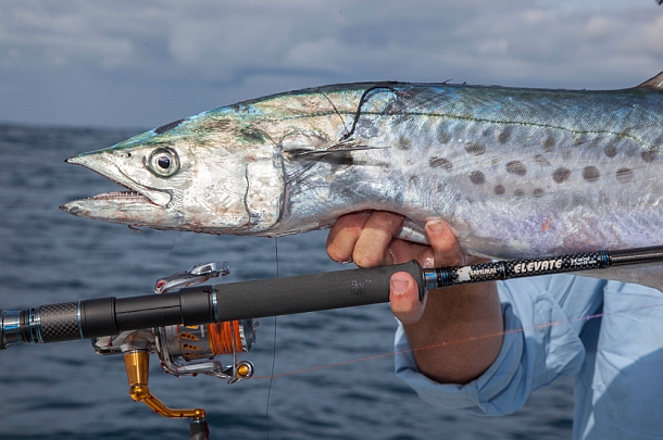 Samurai launches Elevate bluewater spin rods - Fishing World