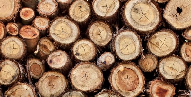 Wood for all: Firewood collection season opens - Australian Wood Review