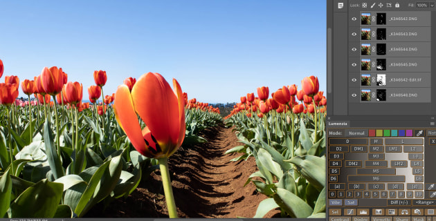 A beginner's guide to focus stacking - Australian Photography