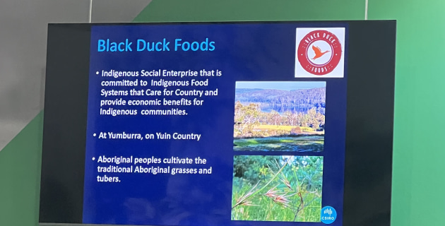 Foodpro 2023: Spotlight on Indigenous ingredients - Food & Drink Business