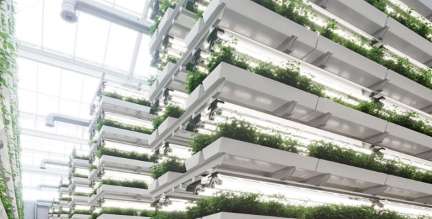 RMIT: four food tech trends to watch - Food & Drink Business
