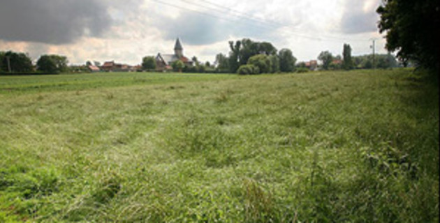 Oxford Archaeology awarded Fromelles contract - Australian Defence Magazine