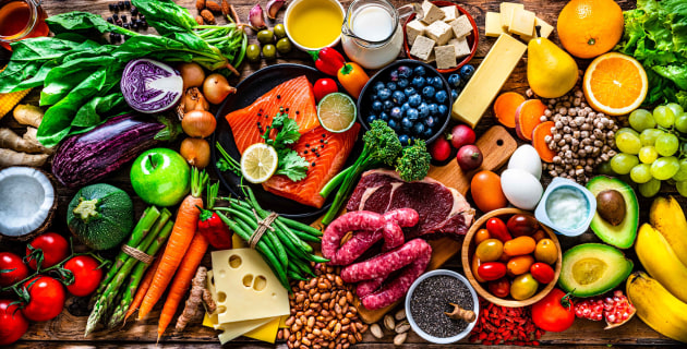 CSIRO, UQ launch Food System Horizons - Food & Drink Business