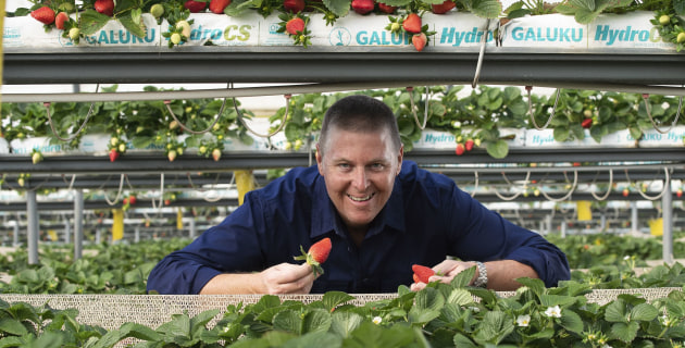 Australian Fresh Produce Alliance elects new chair - Food & Drink Business