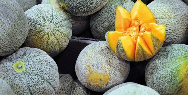 Rockmelon farm resumes production following listeria outbreak - Food ...