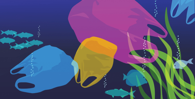 Soft plastics in Australia, what's the state of play? - PKN Packaging News