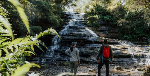 New two-day walk opens in the NSW Blue Mountains - Great Walks