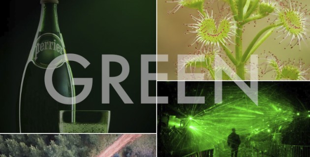 January 'Green' Free monthly photo comp: The winners! - Australian ...