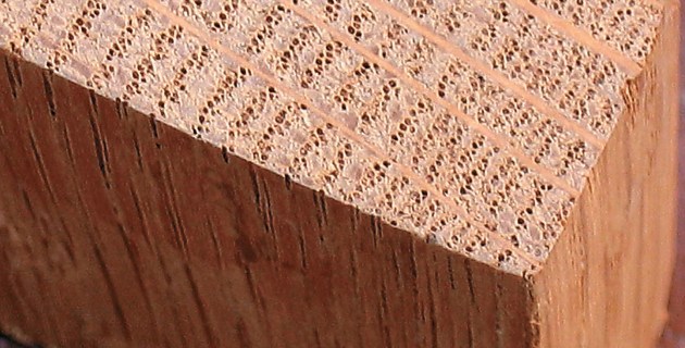 What makes wood 'hard' or 'soft' - Australian Wood Review