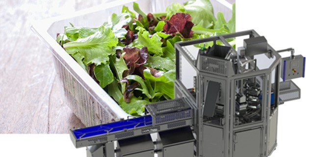 Smart packaging systems for ready-to-eat salads - PKN Packaging News