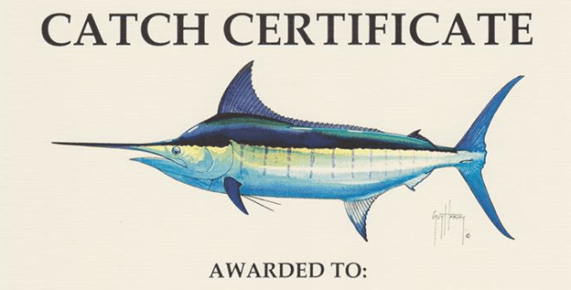 IGFA Catch Certificates - Fishing World