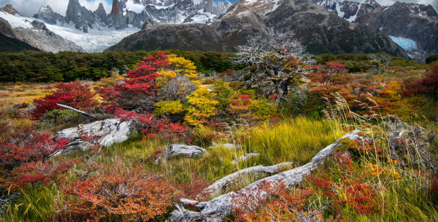 Portfolio Vol. 1 by Ignacio Palacios - Capture magazine