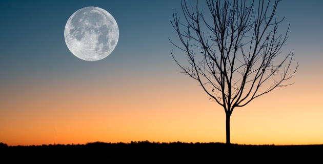 How to capture tonight's supermoon - Australian Photography