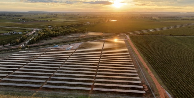 Casella Family Brands switches on Yenda solar facility - Food & Drink ...