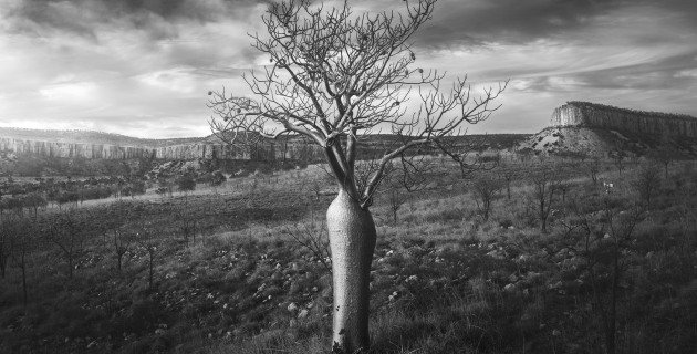 Behind the Lens: In time... - Australian Photography