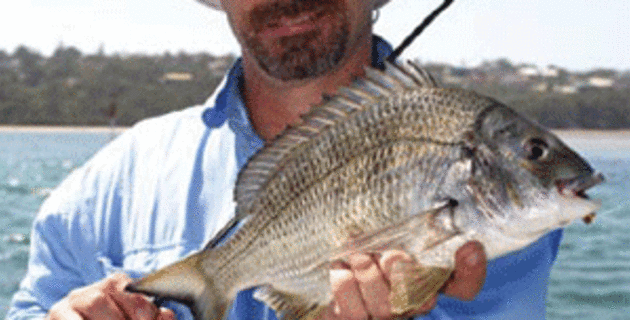 TESTED: Innovator Nitro Vapor Rods - Fishing World