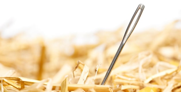 Finding needles in the haystack - Food & Drink Business