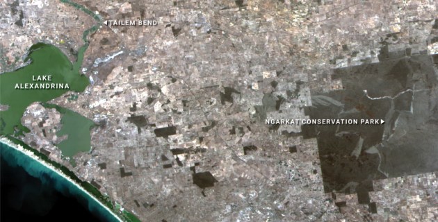Kanyini satellite delivers its first images from space - Australian ...