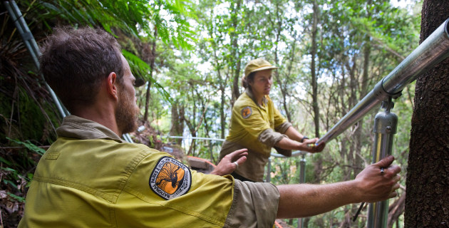 Profile of the week: Tim Lanyon, NPWS - Great Walks