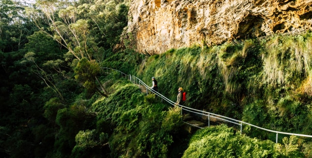 Grand Cliff Top Walk showcases the beauty of the Blue Mountains - Great ...