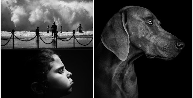 The Mono Awards 2021 - The People's Choice winners! - Australian ...