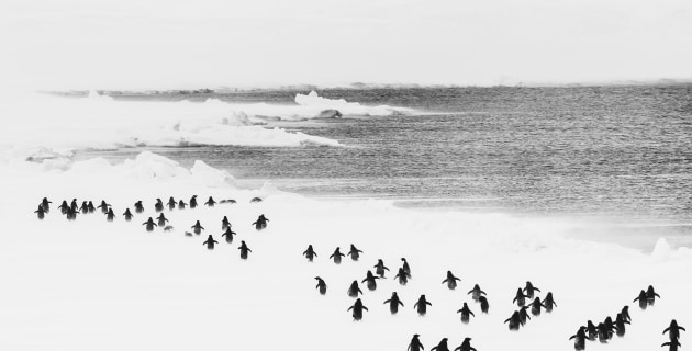 The chill factor - photography in cold weather (Part two) - Australian ...