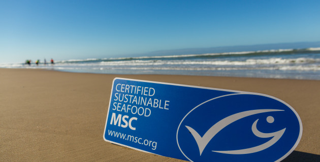 MSC: Clearer labelling on tuna packaging needed - Food & Drink Business