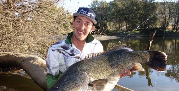 Murray cod season opens 1 December: - Fishing World