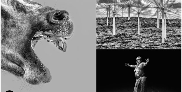 The Mono Awards 2022 - the People's Choice winners - Australian Photography The Mono Awards 2022 - the People's Choice winners - Australian Photography