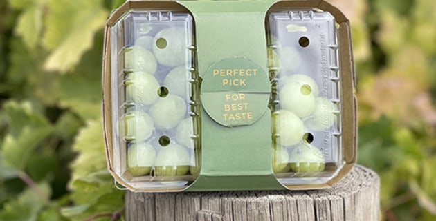 Vine-to-table grape eco-punnets come to fruition - PKN Packaging News