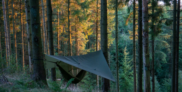 When it's ok to swap your tent for a tarp - Great Walks