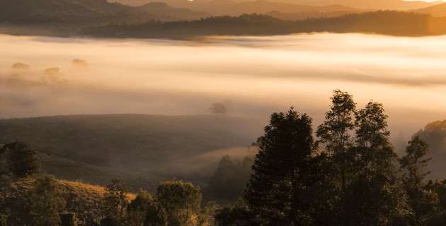 Tweed section of Northern Rivers Trail opening in March - Great Walks