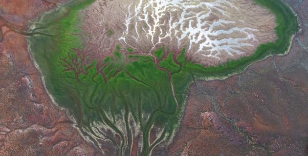 Dani Watson – Australasia’s Top Emerging Photographers 2023 – Featured ...