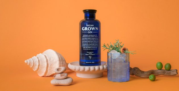Regrowing coral reefs with gin - Food & Drink Business